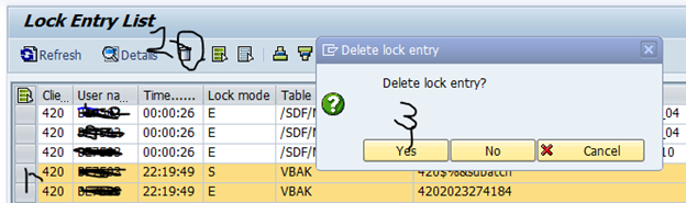 How to run and understand SAP transaction SM12 | SAP application performance